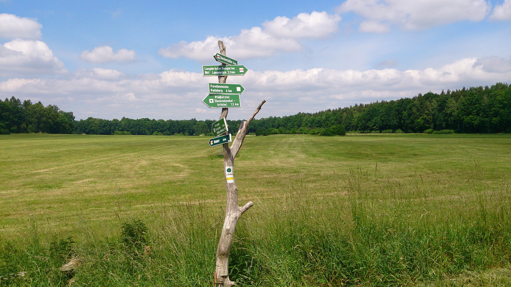 Mountainbiketour durch die Dresdner Heide - Mit dem Fahrrad unterwegs